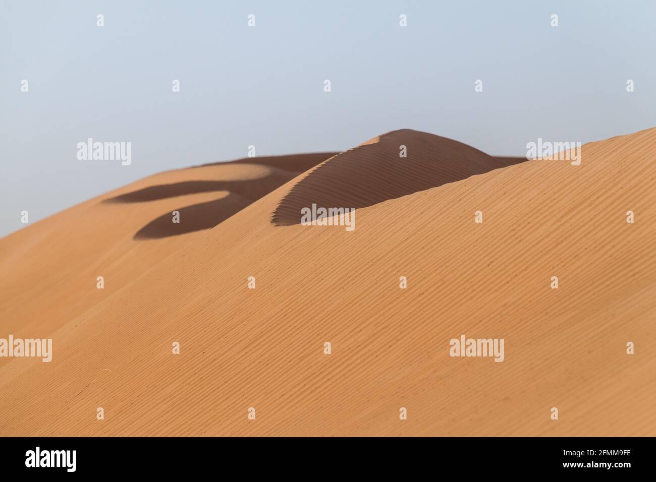 Sand dunes of Sharqiya Wahiba Sands, Oman Stock Photo - Alamy