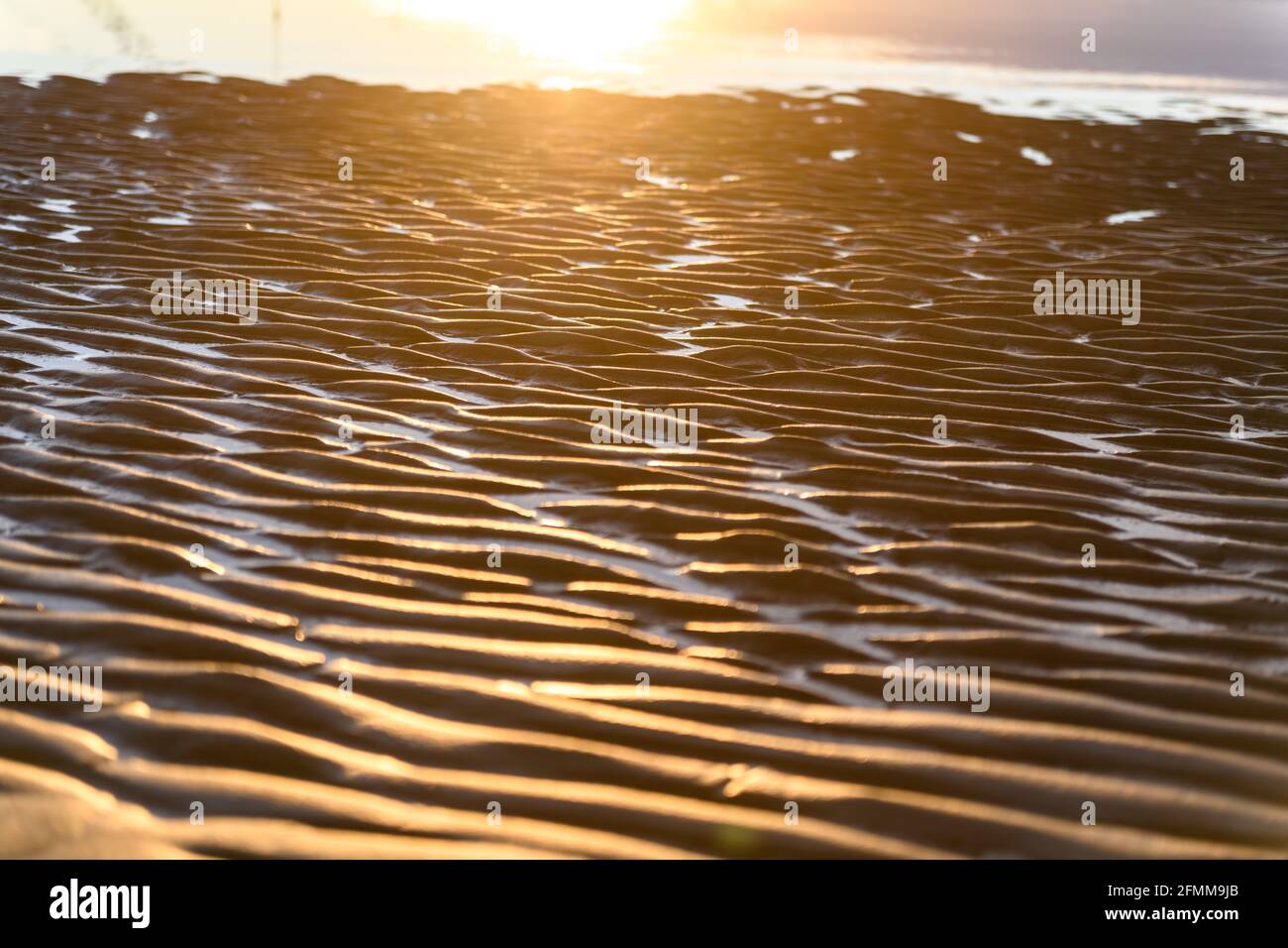 Sand on the sea beach at sunset time. Golden hour Stock Photo - Alamy