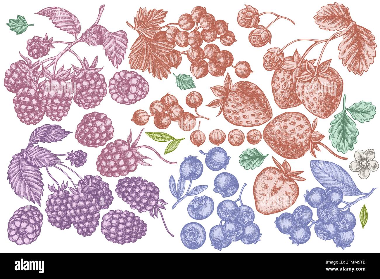 Colourful shiny fruit Stock Vector Images - Alamy