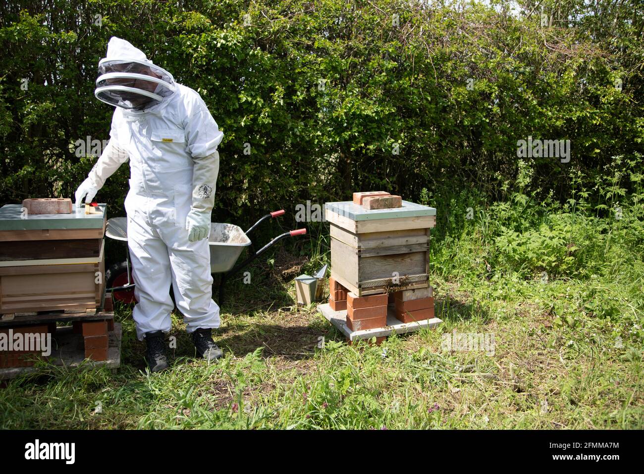 Beekeeper inspecting two hives hi-res stock photography and images - Alamy