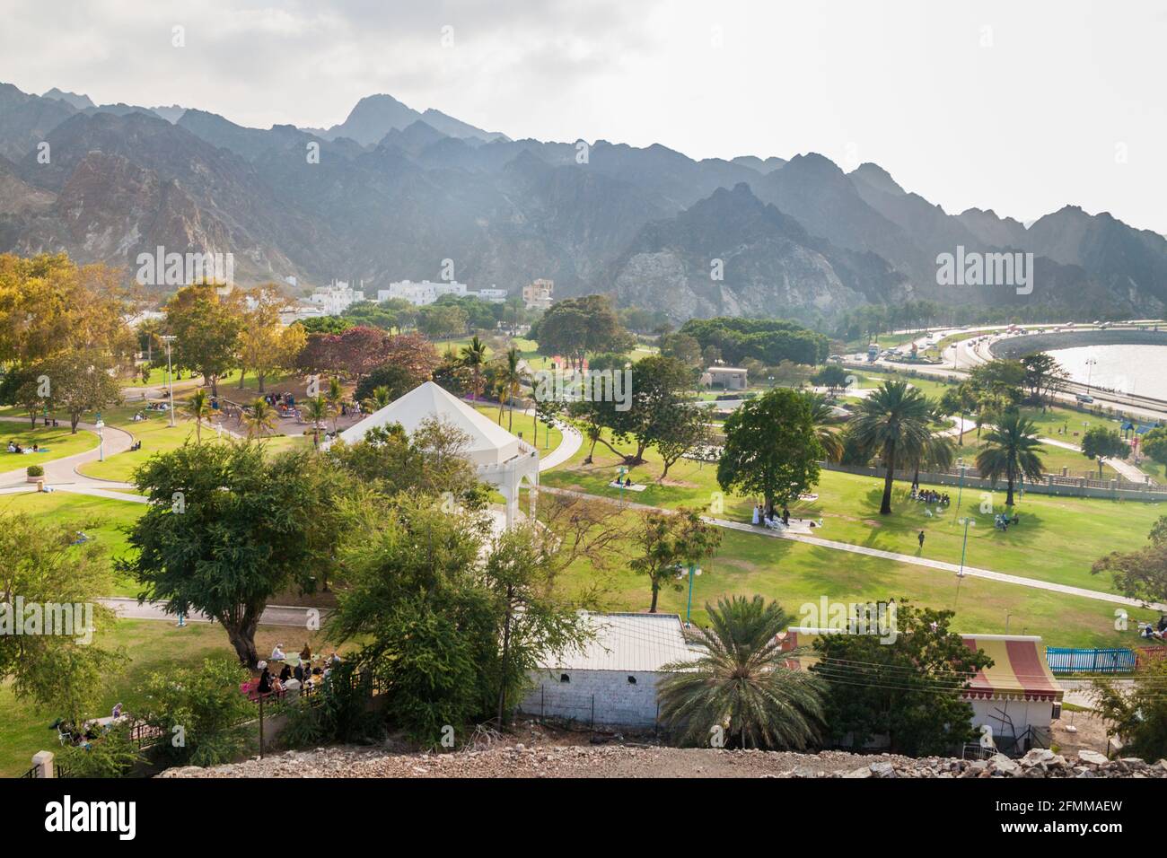 Green muscat hi-res stock photography and images - Alamy