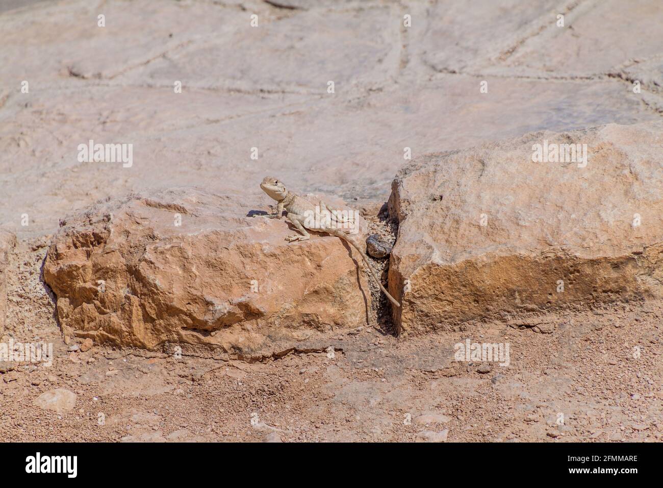 Sumhuram archaeological park hi-res stock photography and images - Alamy