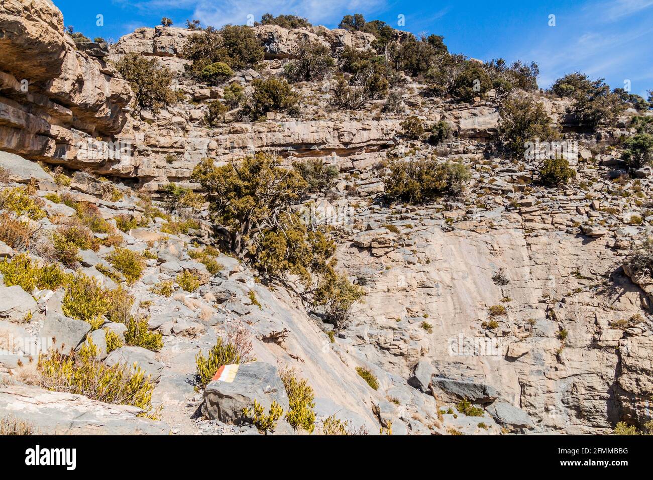 Middle rocky mountains hi-res stock photography and images - Alamy