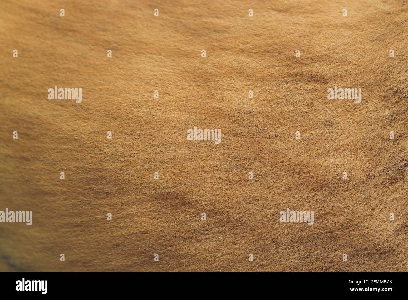 Shed skin and fur hi-res stock photography and images - Alamy