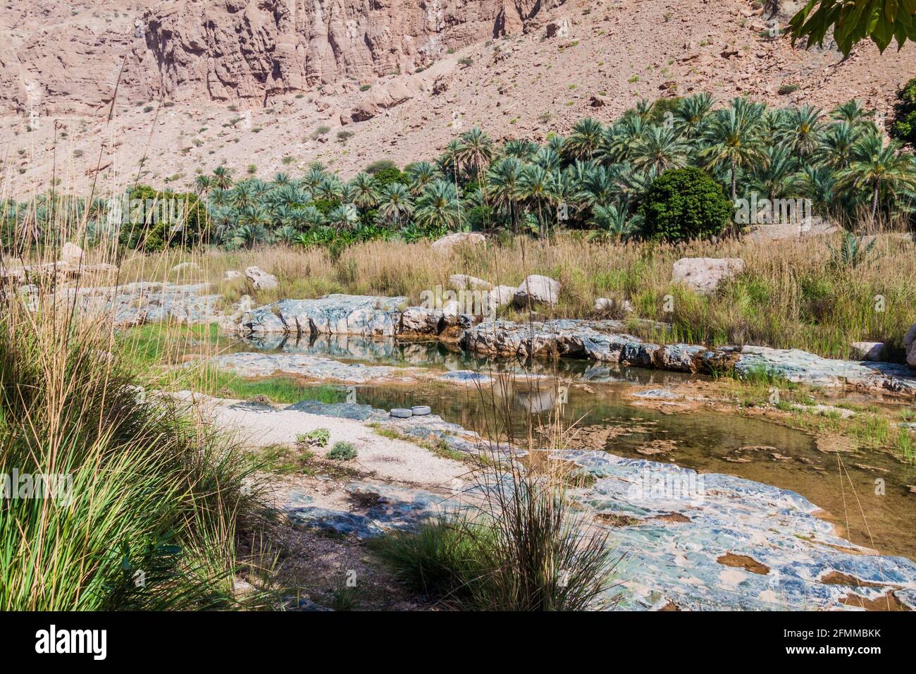 Creek in Wadi Tiwi valley, Oman Stock Photo - Alamy