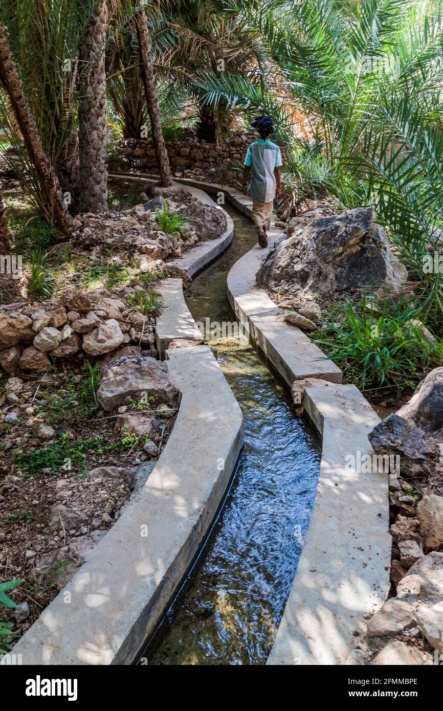 Oman oasis water hi-res stock photography and images - Alamy
