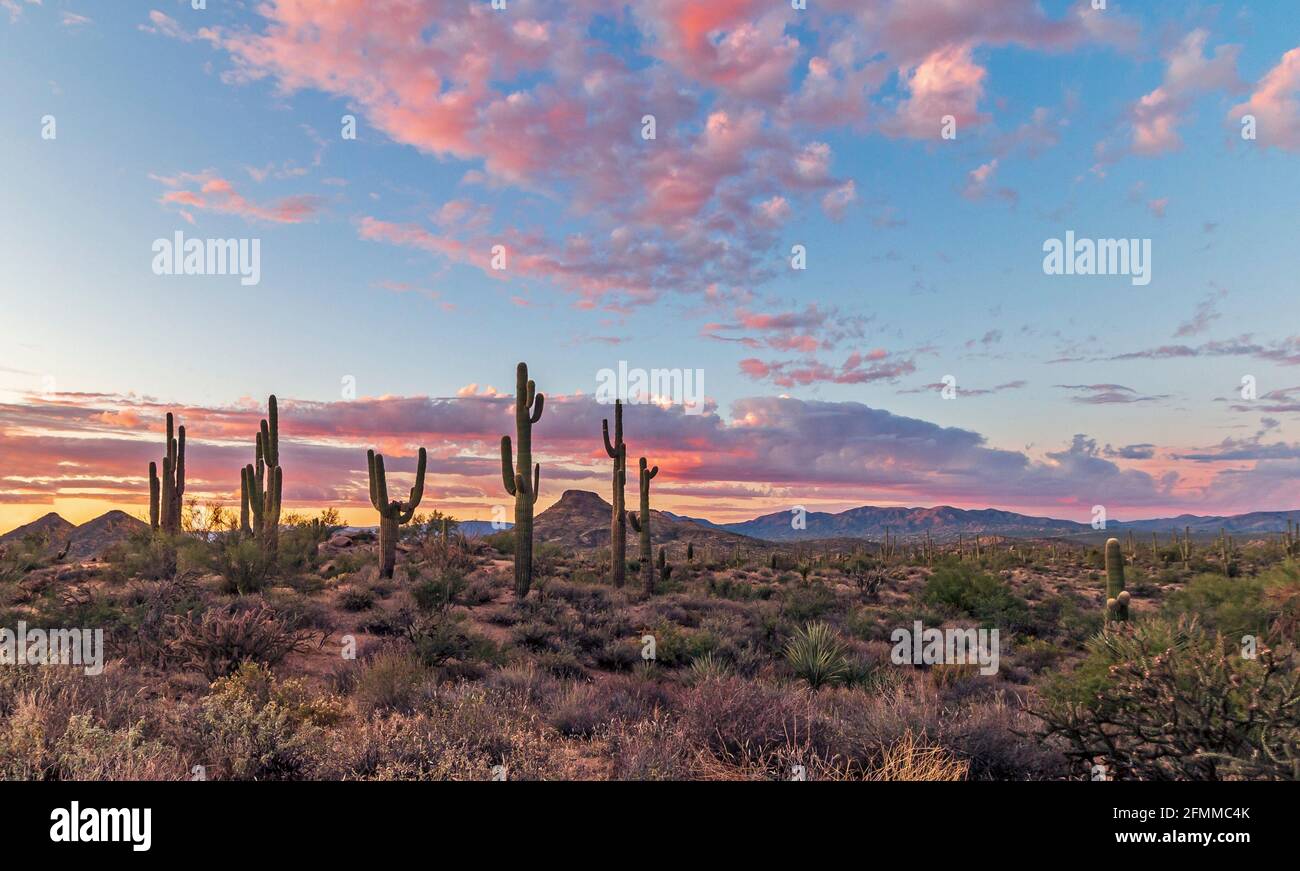 Desert Sunset Landscape In Arizona Stock Photo - Alamy