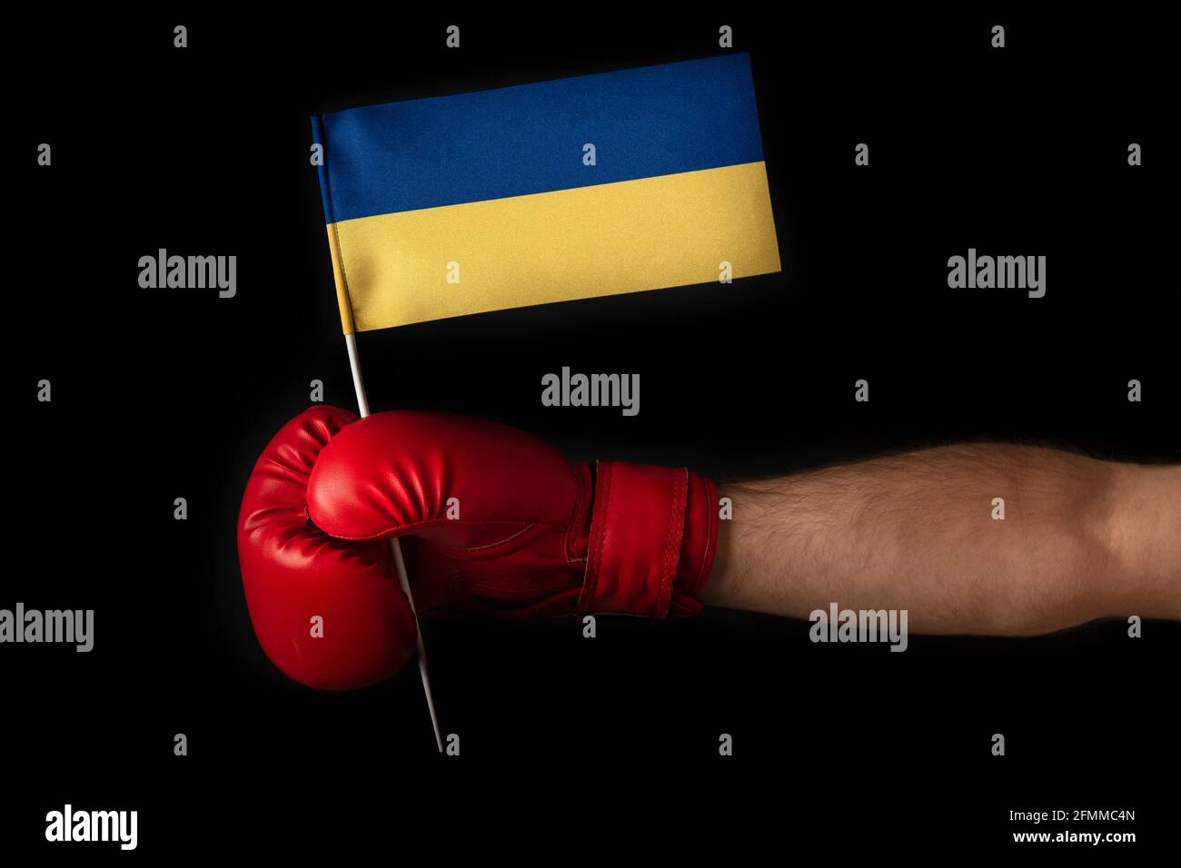 Boxer hand holds flag of Ukraine. Boxing glove with the Ukraine flag ...