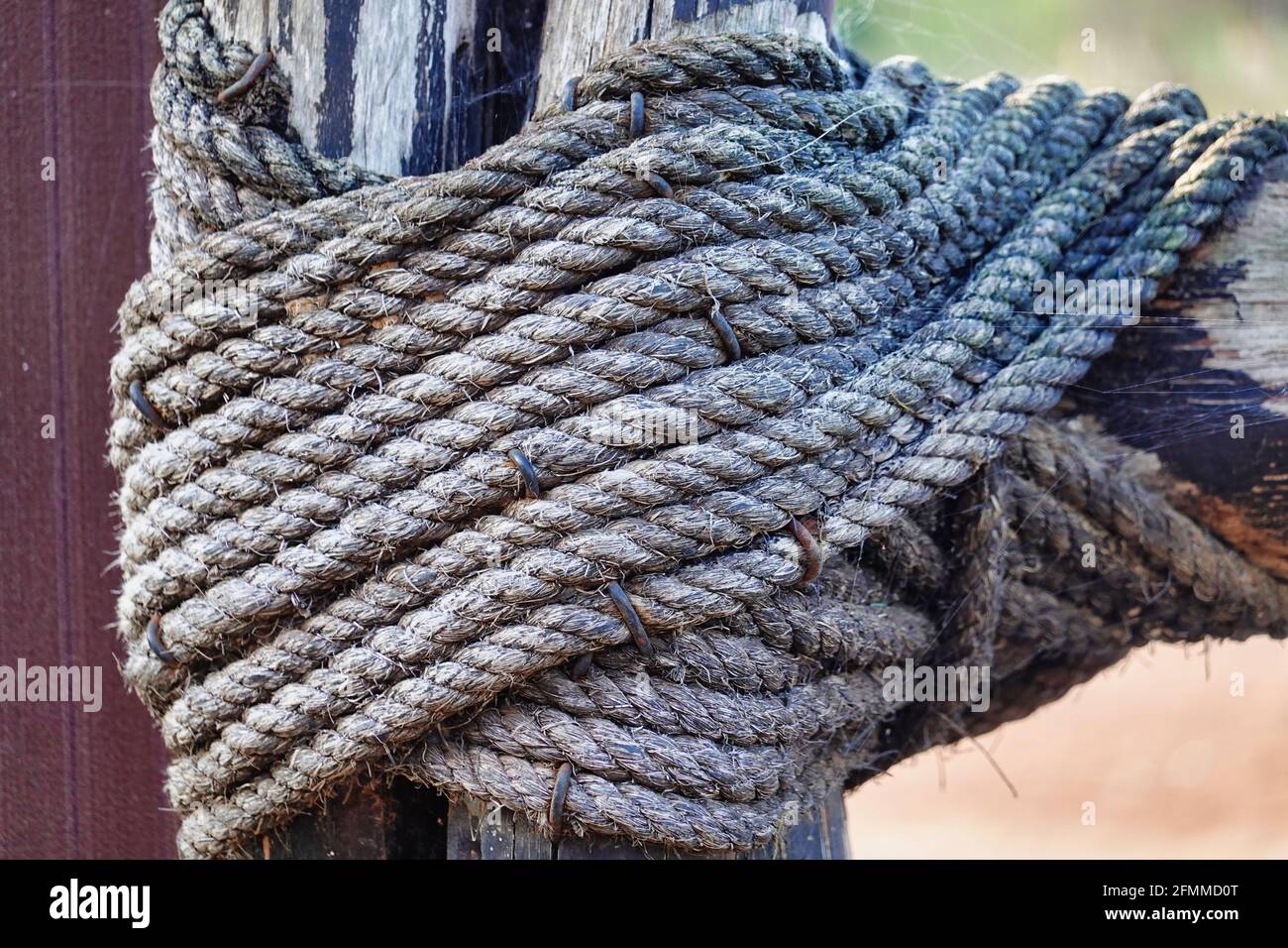 Long thick wood hi-res stock photography and images - Alamy