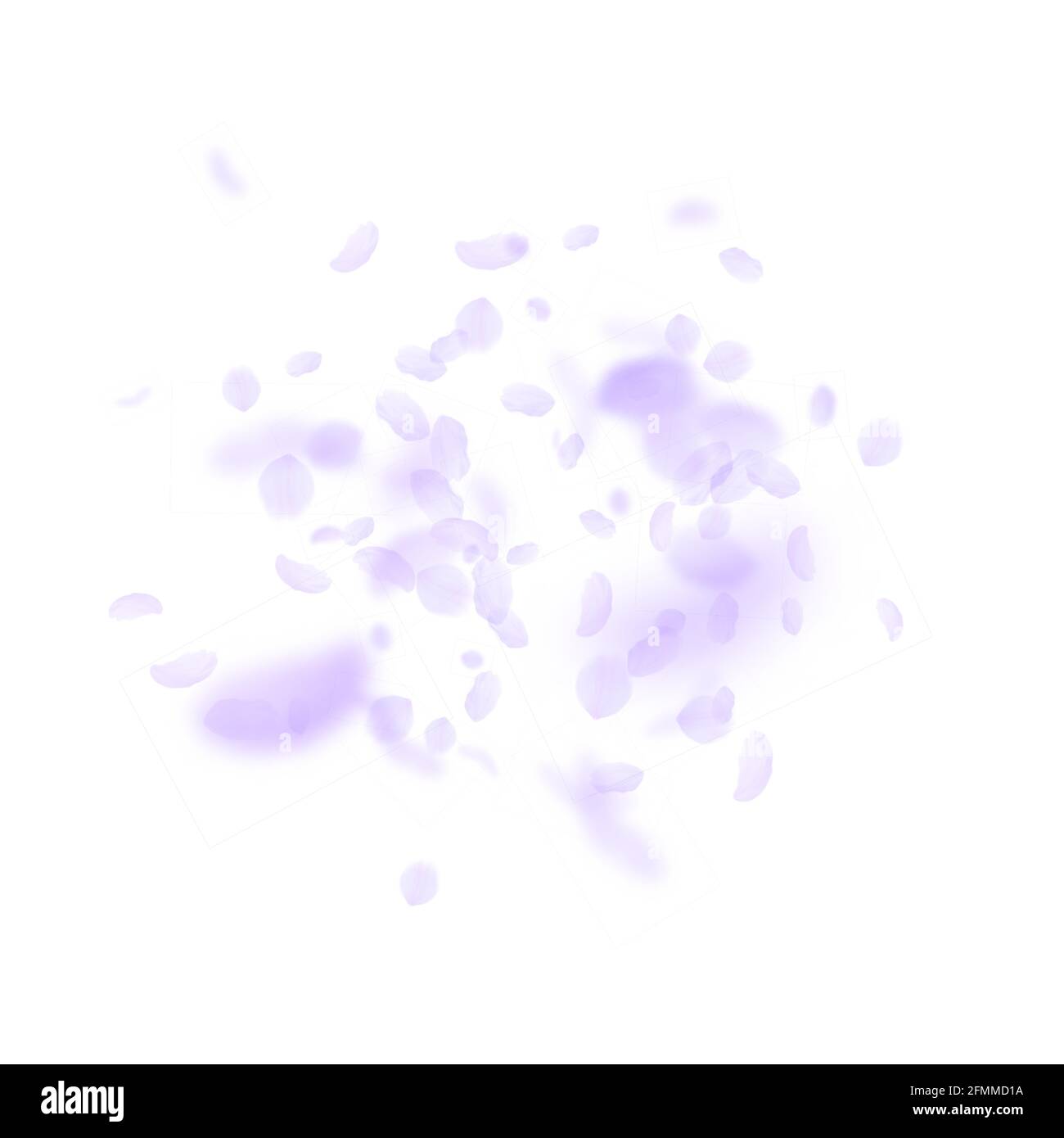 Violet flower petals falling down. Good-looking romantic flowers ...