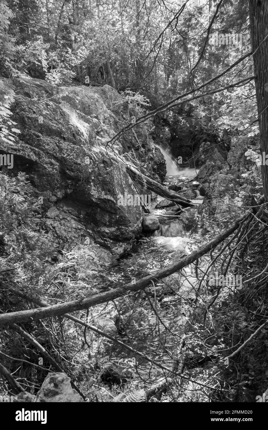 Beaver falls hi-res stock photography and images - Alamy