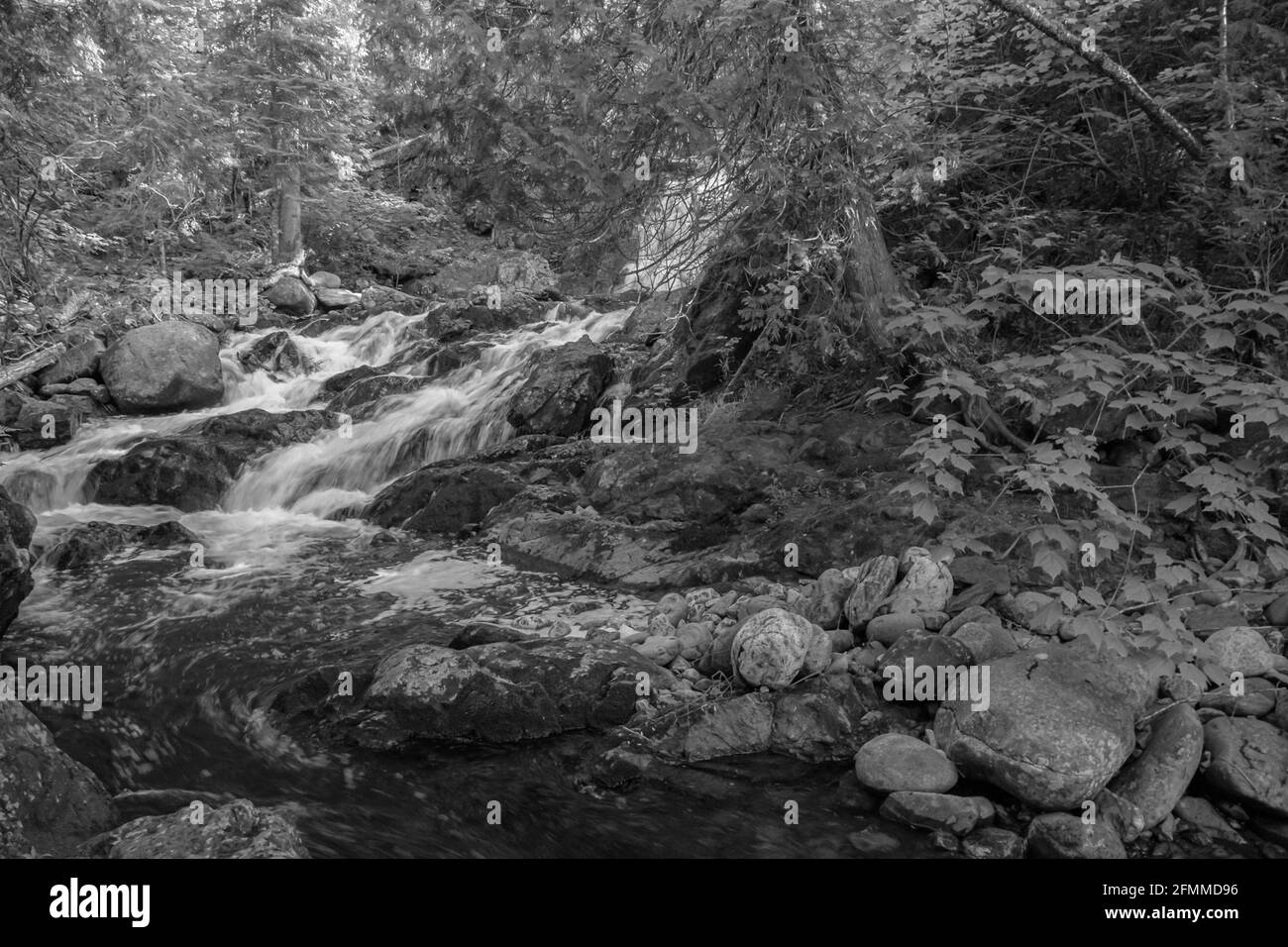 Algoma Black and White Stock Photos & Images - Alamy