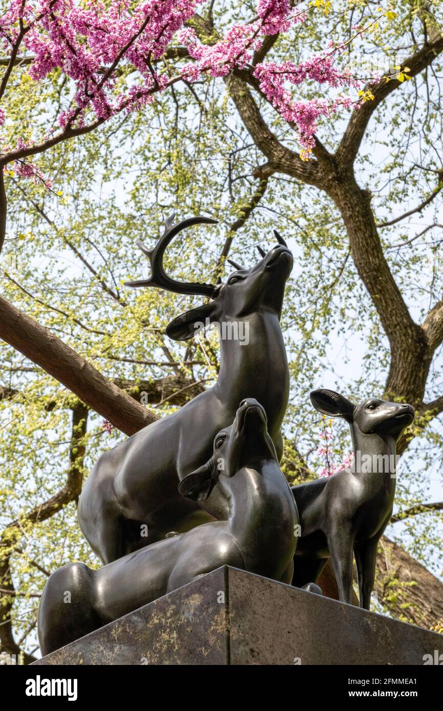 The Ancient Playground in Central Park is beautiful in springtime, New ...