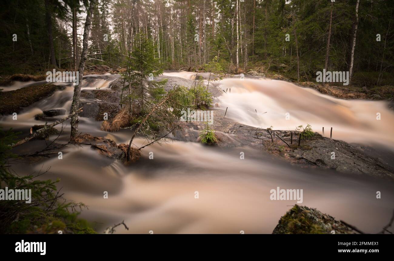 Spring flood in a nature reserve in sweden photographed with long ...