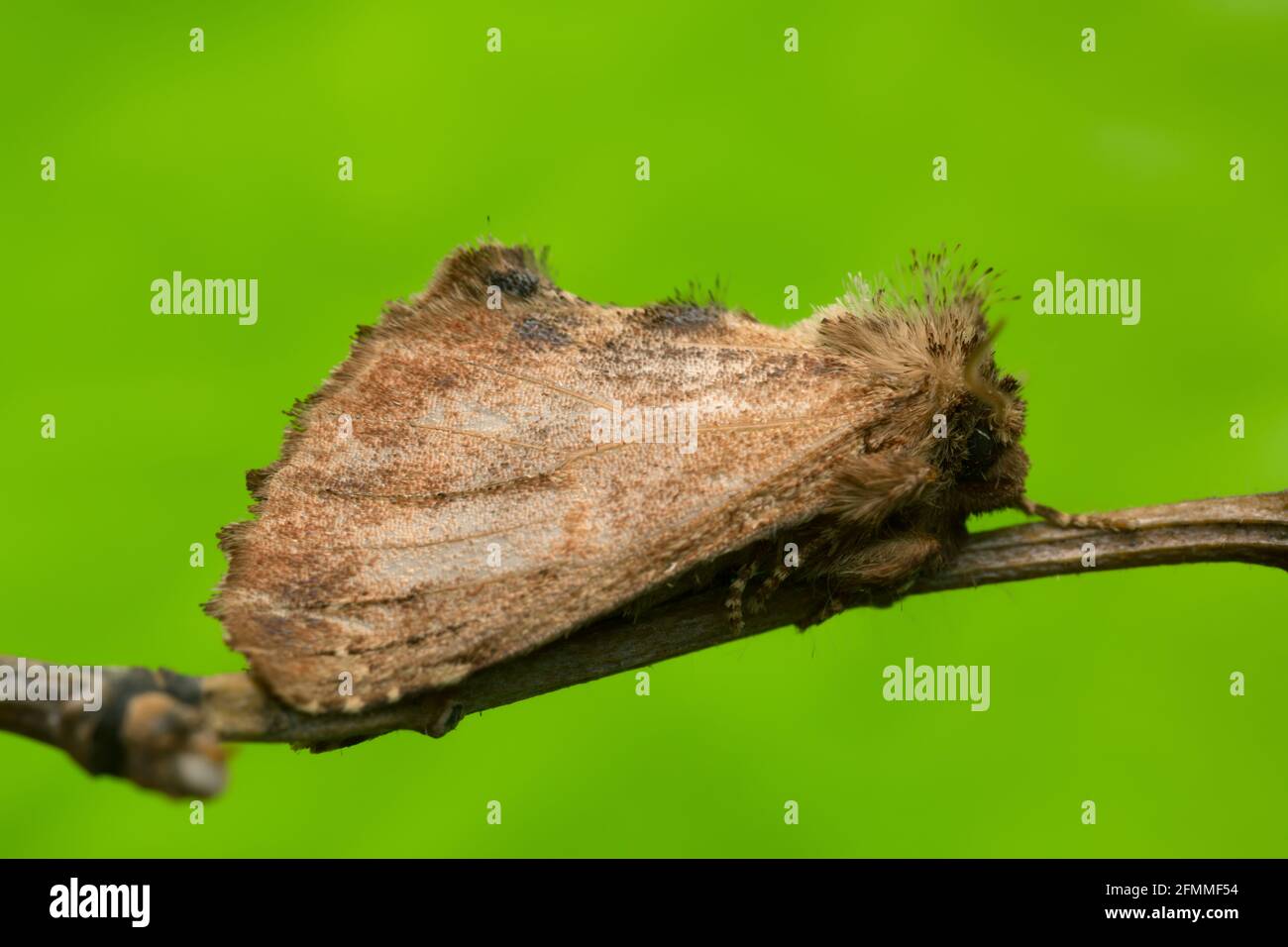 Prominent space hi-res stock photography and images - Alamy