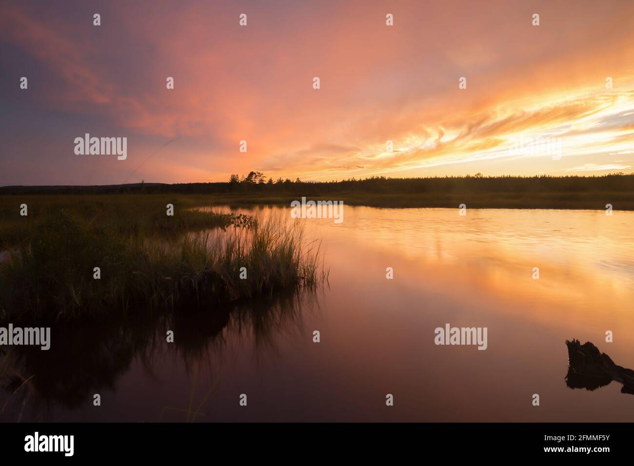 Beautiful sunset over a swamp Stock Photo - Alamy