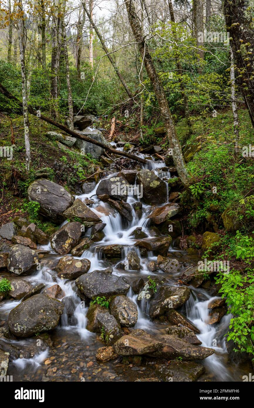 Spring waterfall, Great Smoky Mountains National Park, Tennessee Stock ...
