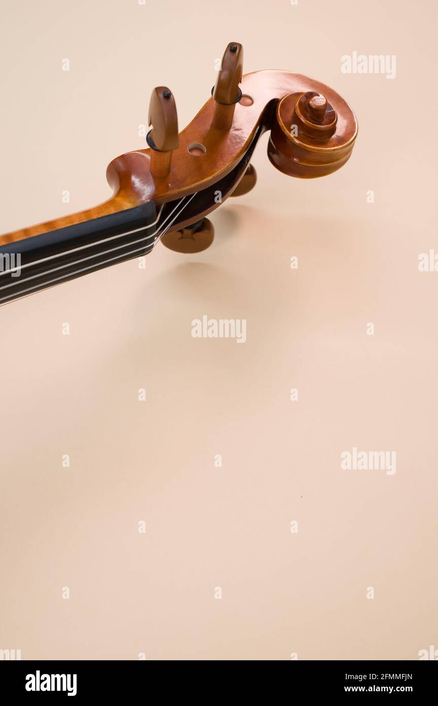 Vertical shot of a maple wood violin scroll with pegs and part of ...