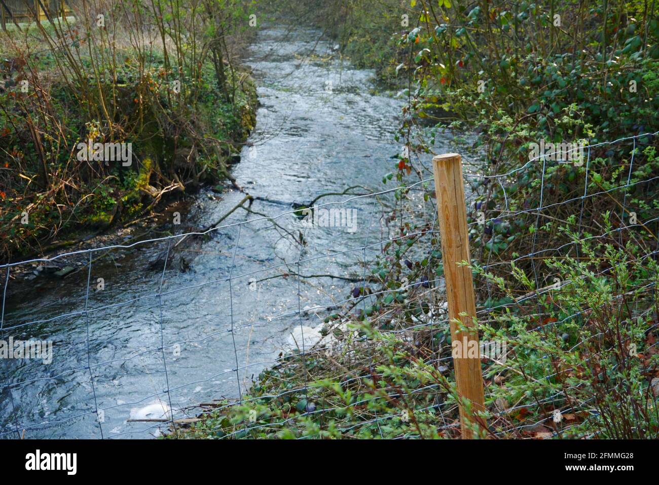 Wire fence with wooden posts as a boundary to a forest stream Stock ...