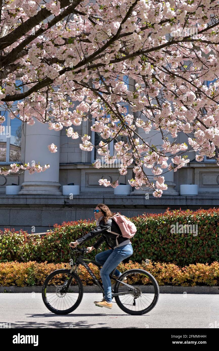 Spring cyclist hi-res stock photography and images - Alamy