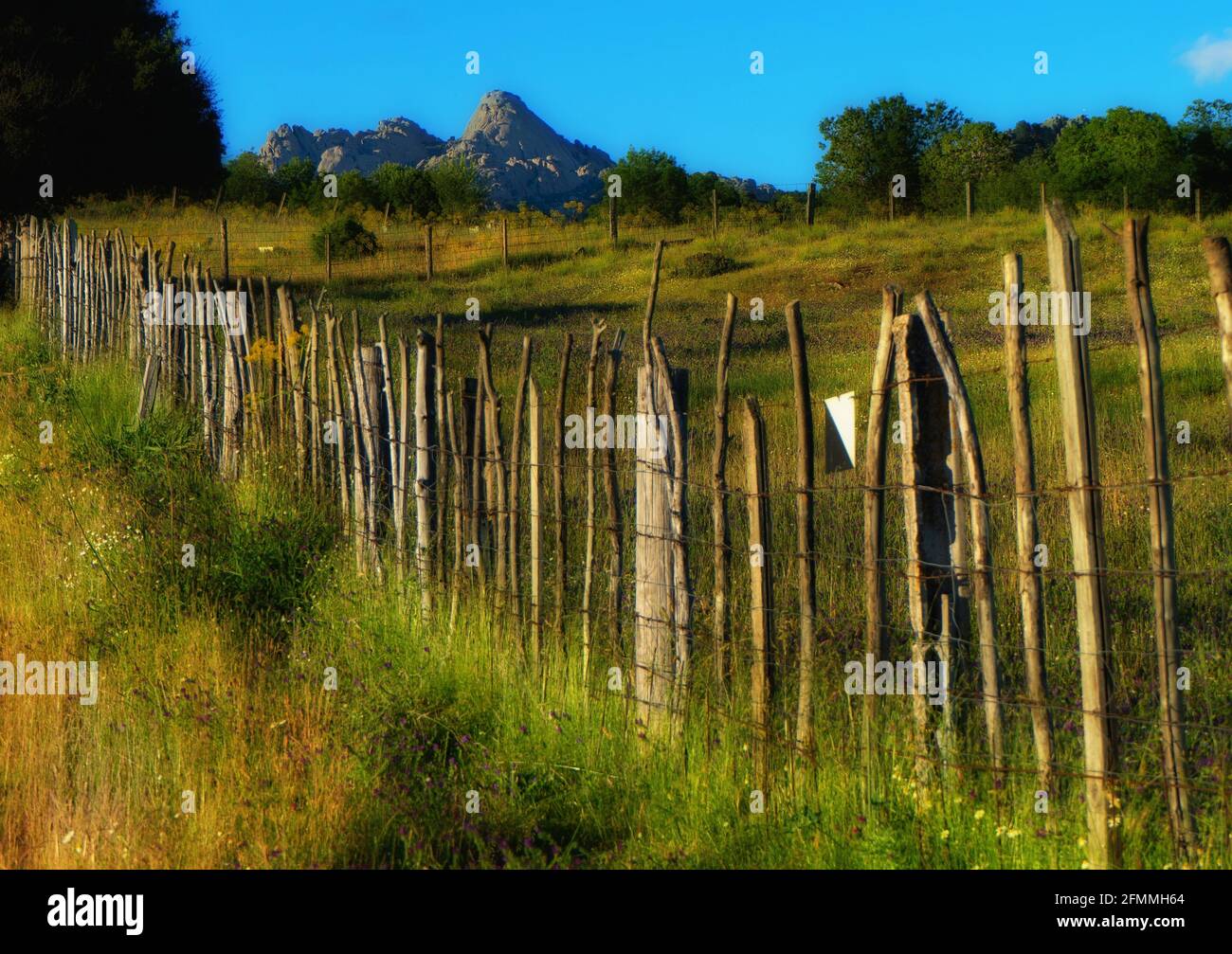Field fenced with wood sticks Stock Photo - Alamy