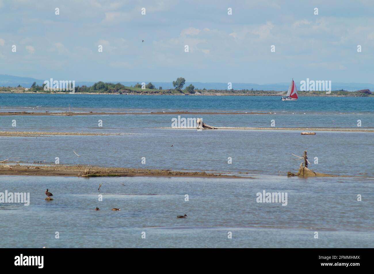 Beautiful shot of seawater with sailing boat, tree stump and waterfowls ...