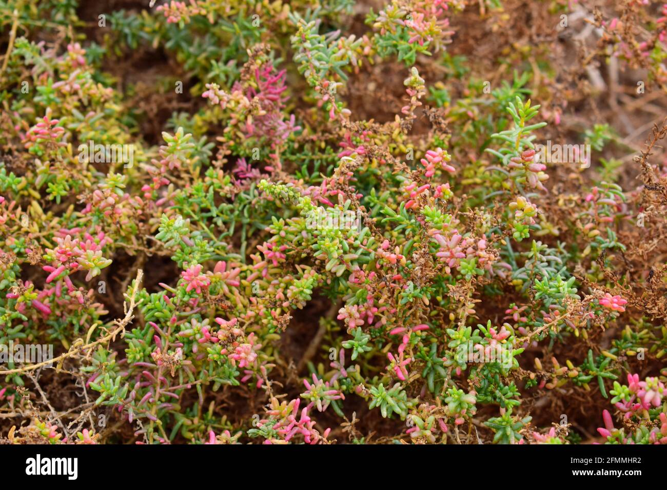 High resolution walpaper hi-res stock photography and images - Alamy