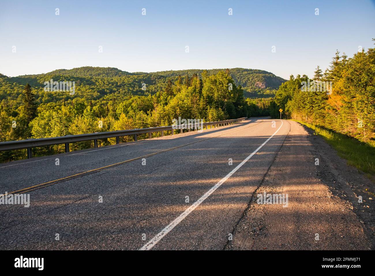 Canadian Forest in Summer Stock Photo - Alamy
