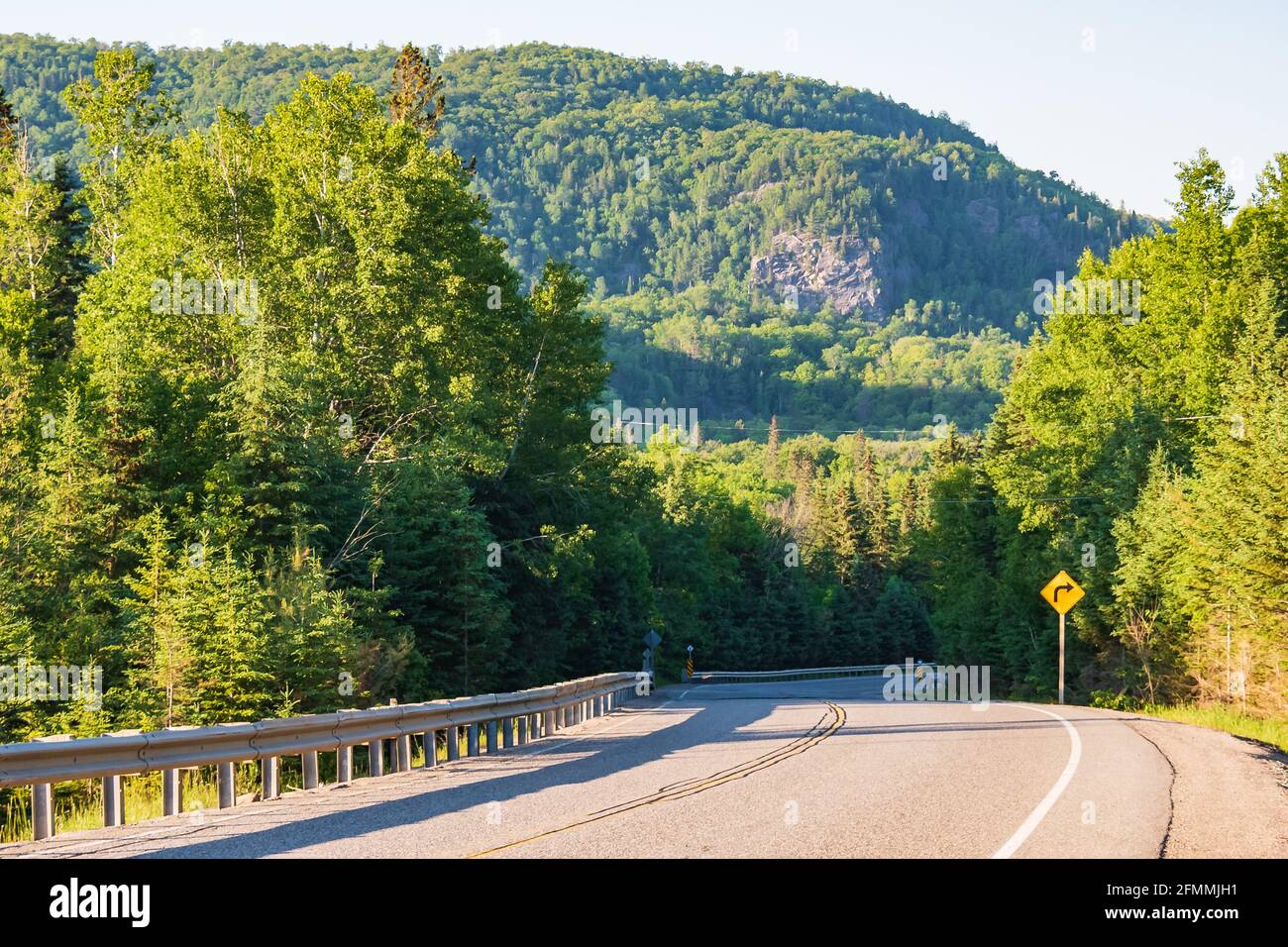 Forest roads hi-res stock photography and images - Alamy
