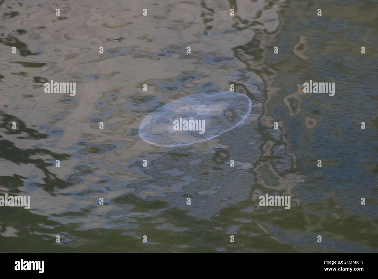Strait of puget hi-res stock photography and images - Alamy