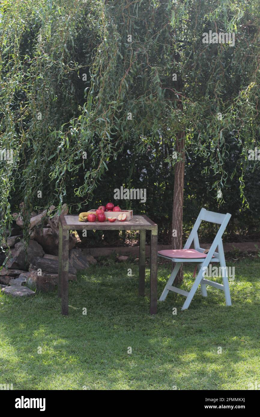 Picnic table under tree hi-res stock photography and images - Alamy
