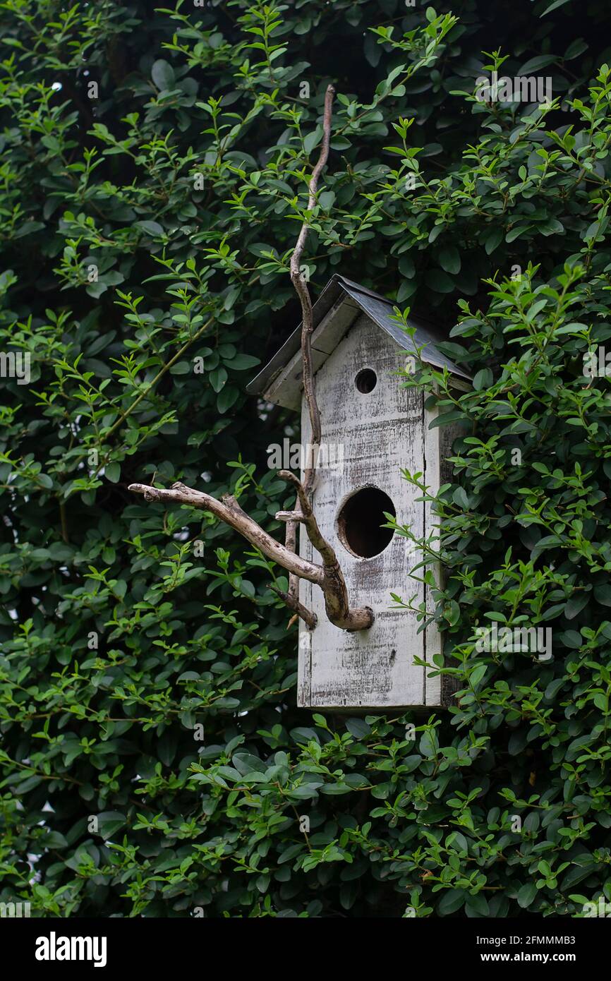 wooden bird house in the garden Stock Photo - Alamy