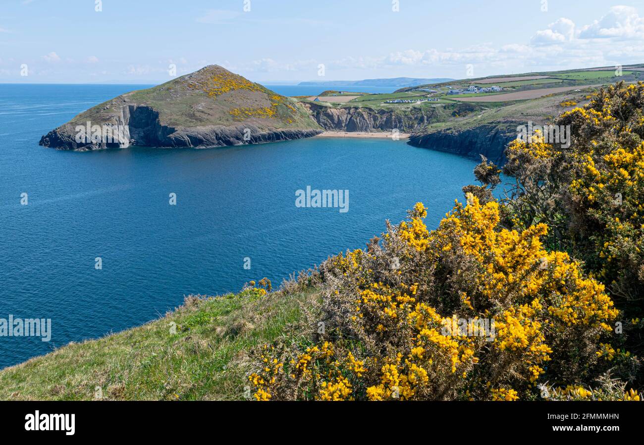 Mwnt wales hi-res stock photography and images - Alamy