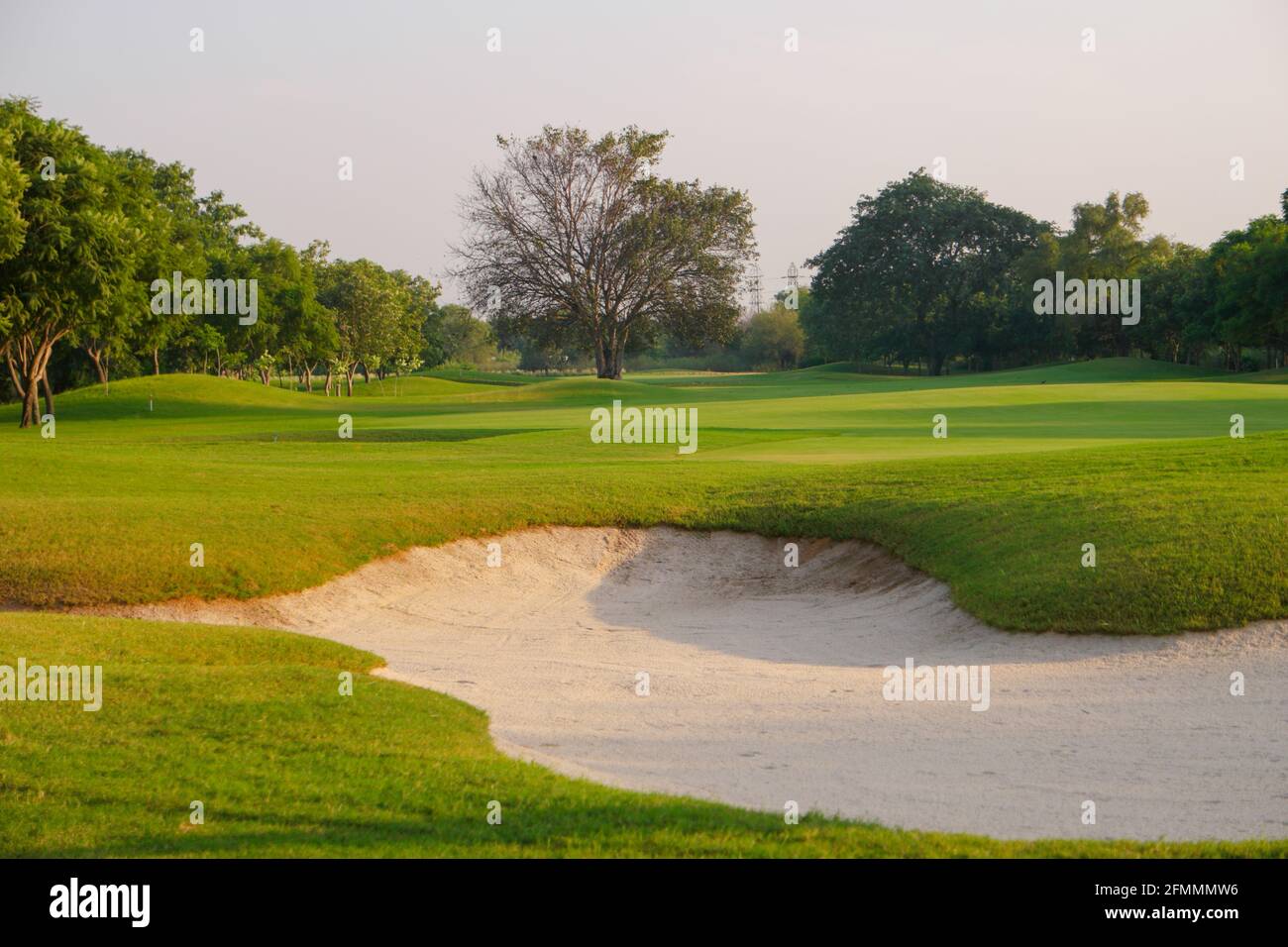 Beautiful green park with an unpaved path and green trees under a clear ...