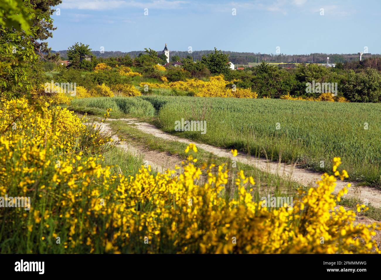 Corn broom hi-res stock photography and images - Alamy