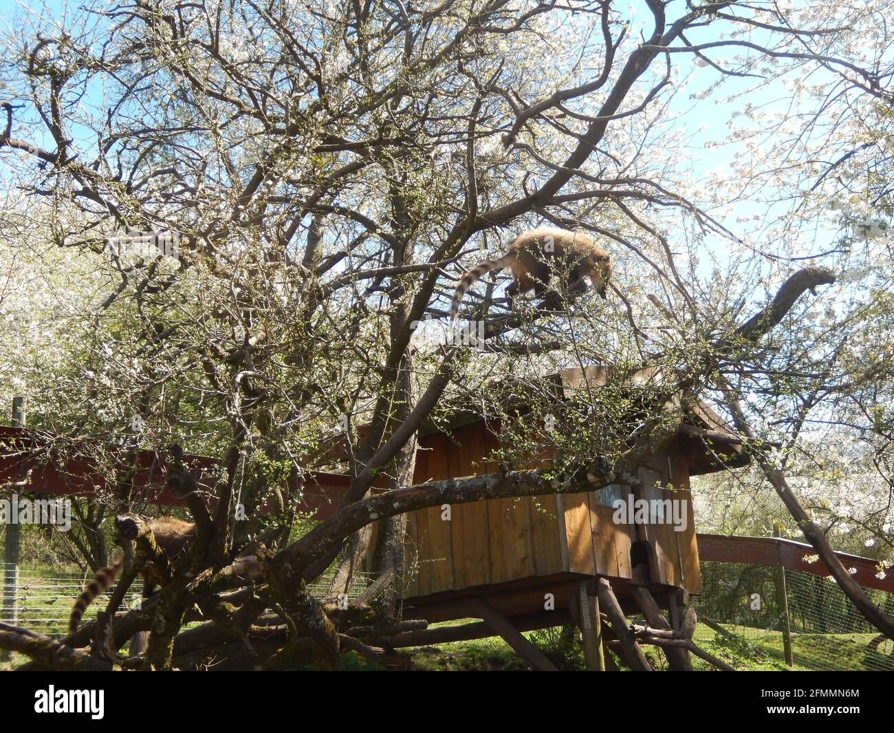 Freisen High Resolution Stock Photography and Images - Alamy