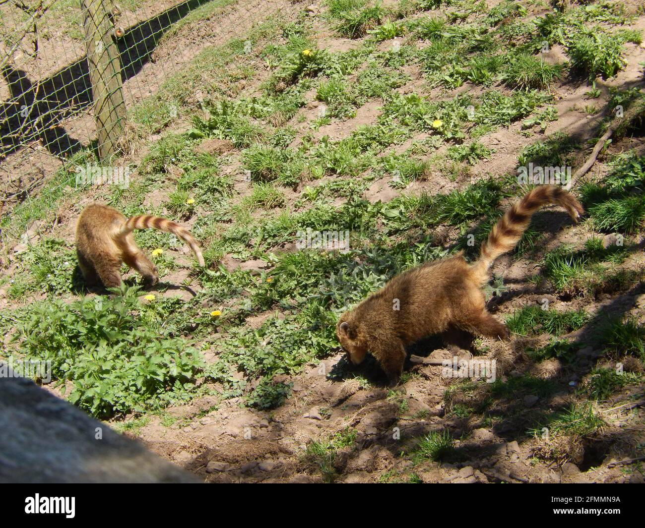 Freisen hi-res stock photography and images - Alamy