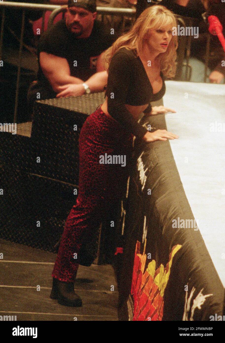 Sable 1999 Photo By John Barrett/PHOTOlink Stock Photo - Alamy