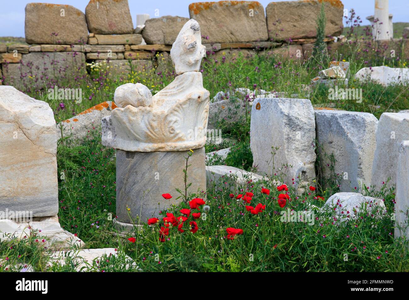Close up of carved marble column base with ruins and wildflowers ...