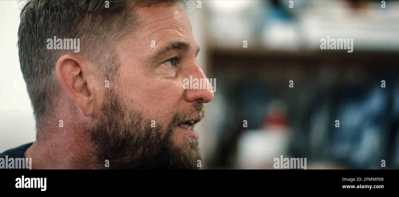 8 BILLION ANGELS, (aka EIGHT BILLION ANGELS), Jason Hall-Spencer ...