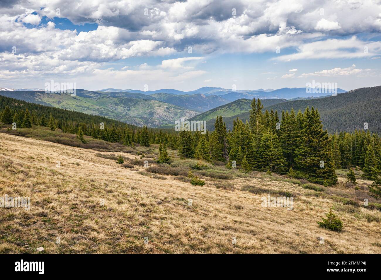 Landscape in the Mount Evans Wilderness, Colorado Stock Photo - Alamy