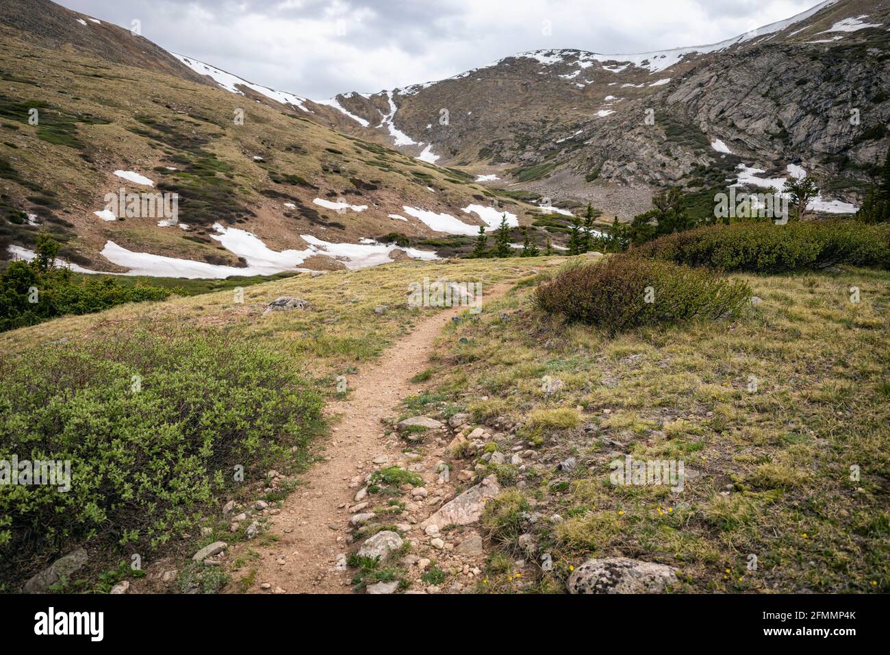 Hiking Trail in the Mount Evans Wilderness, Colorado Stock Photo - Alamy