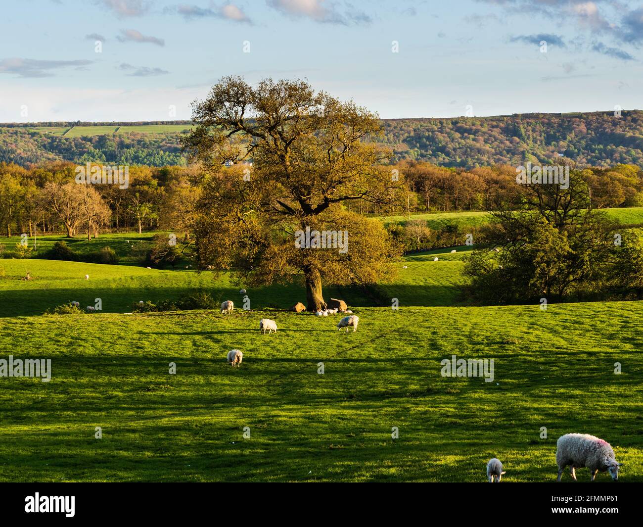 Catching the light of the sun hi-res stock photography and images - Alamy