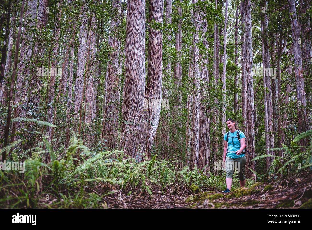 smiling woman hiker hikes through forest in hamakua forest reserve ...