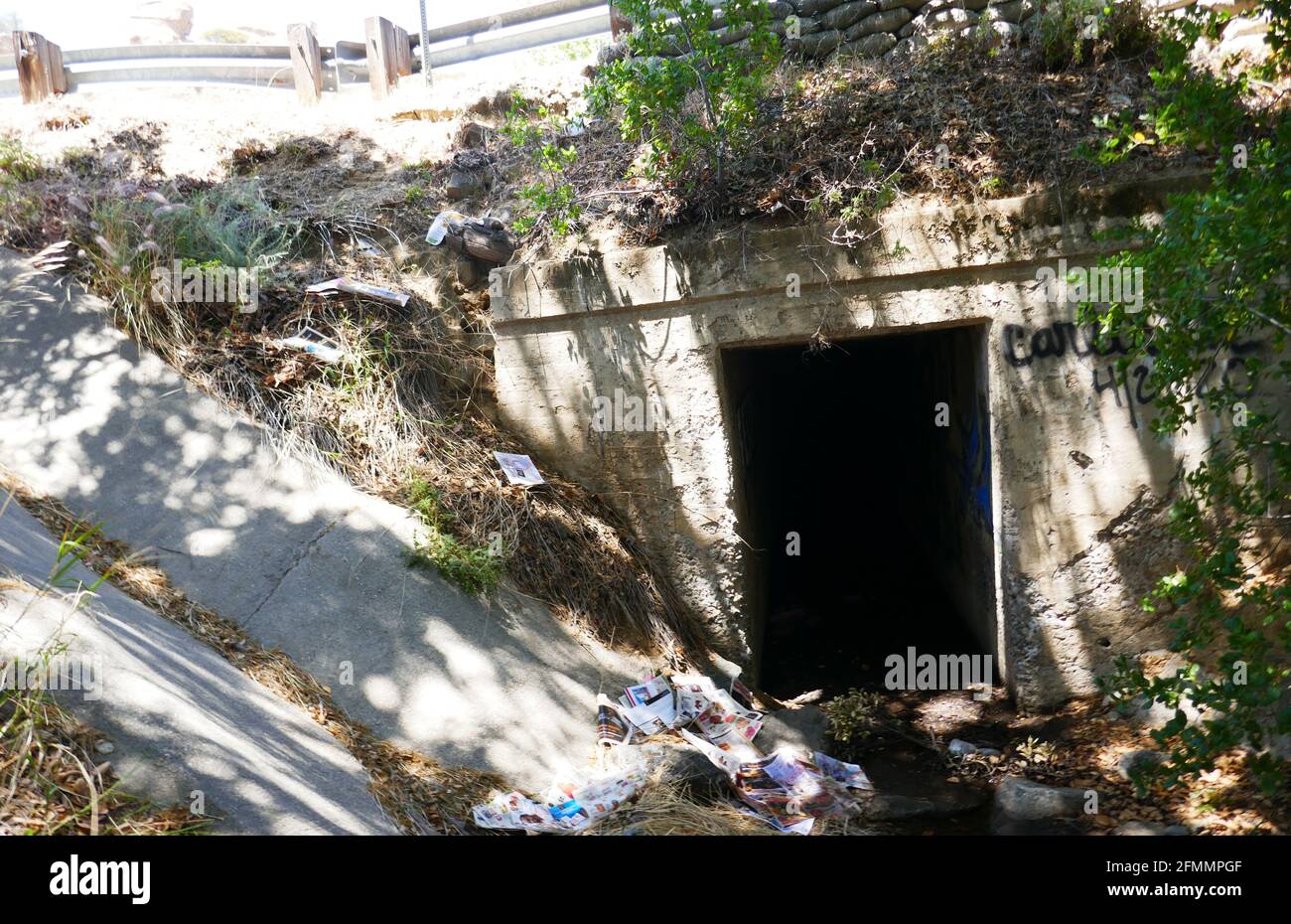 Donald Shea Death Photo