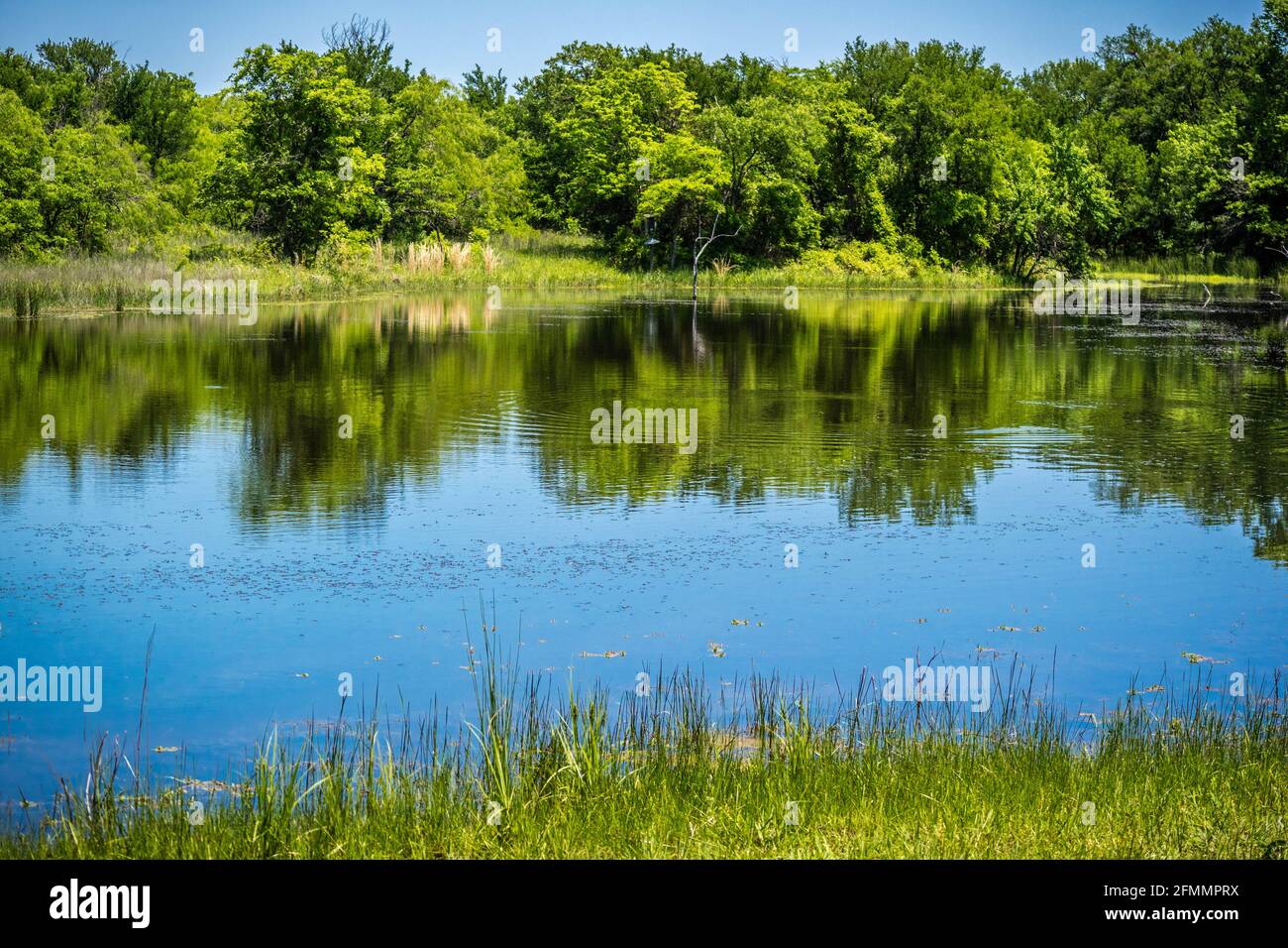 A beautiful lake park in Hagerman Wildlife Refuge, Texas Stock Photo ...