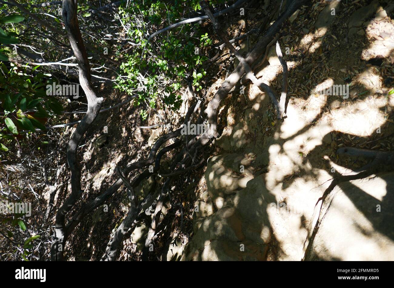 George spahn hi-res stock photography and images - Alamy