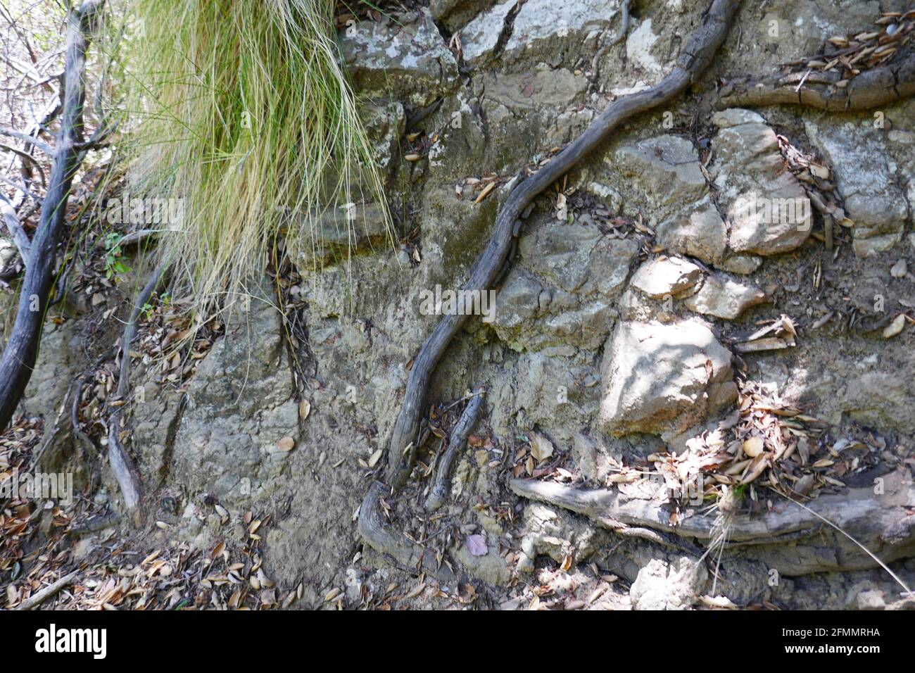 Donald shea hi-res stock photography and images - Alamy