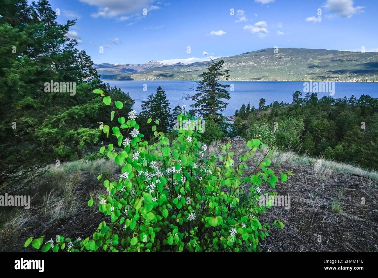 Ellison provincial park hi-res stock photography and images - Alamy