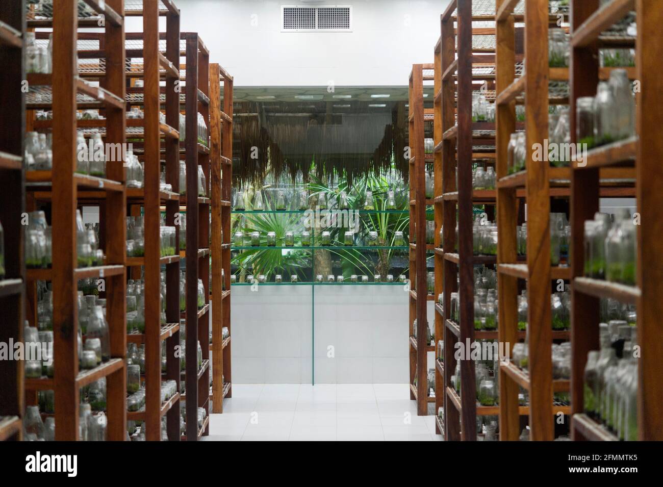 Mexico science lab hi-res stock photography and images - Alamy